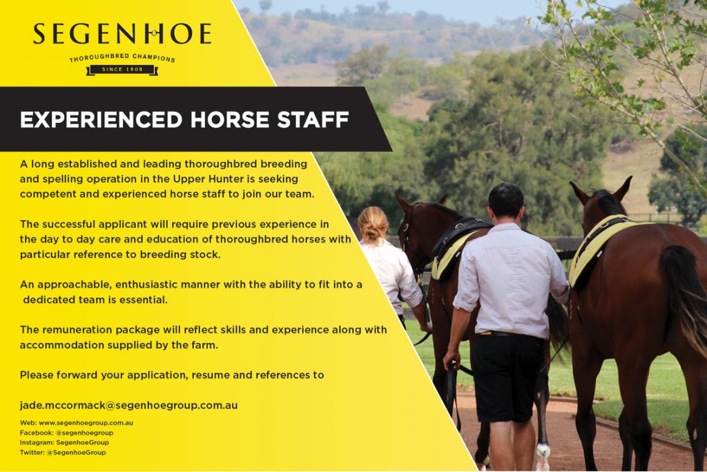 We’re Hiring – Experience Horse Staff & Truck driver/Farm hand ...